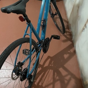 2021 Trek FX 2 Disc Women’s