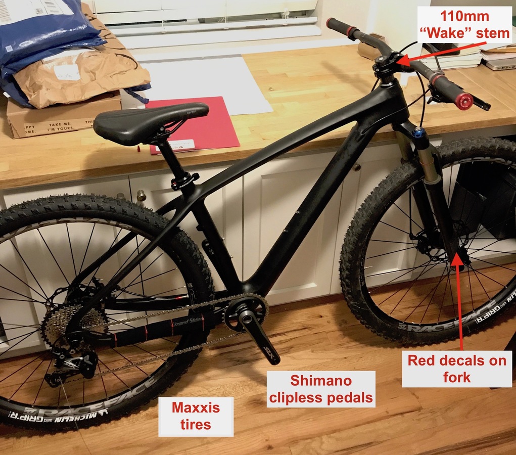 2017 Custom Carbon Fiber 29er