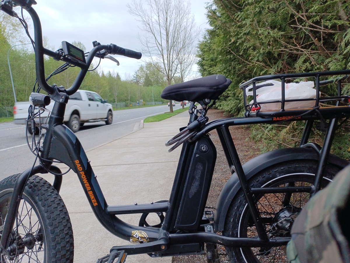 2019 Rad Power Bikes RADRUNNER cargo bike rear