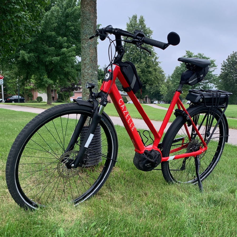 2019 Gazelle Mid / High Step