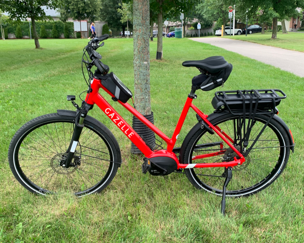 2019 Gazelle Mid / High Step