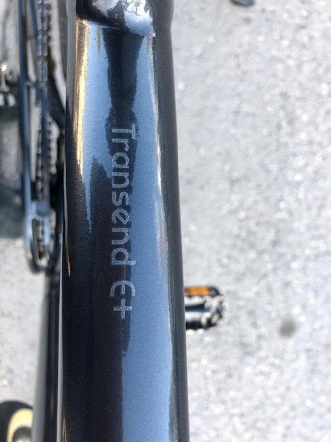 2020 Momentum Giant Momentum Transend E+