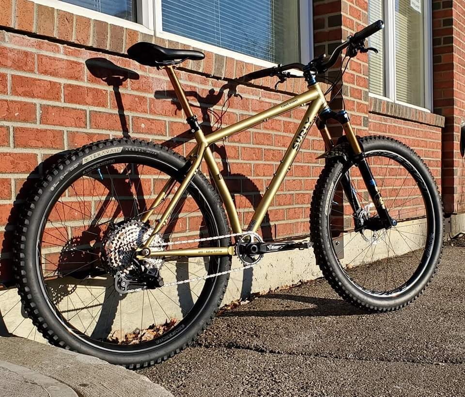 2022 Surly Karate Monkey