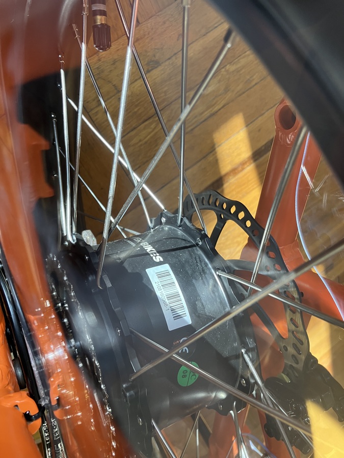 2022 Rad Power Bikes Rad Wagon 4