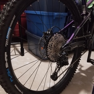 2022 Polygon Siskiu T8