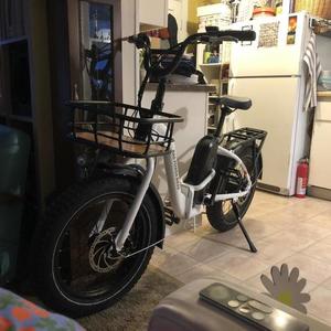 2022 Rad Power Bikes RadExpand 5