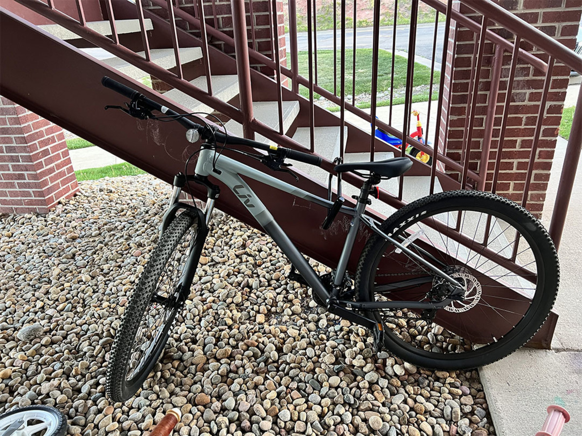 2021 Giant Temp 29 4