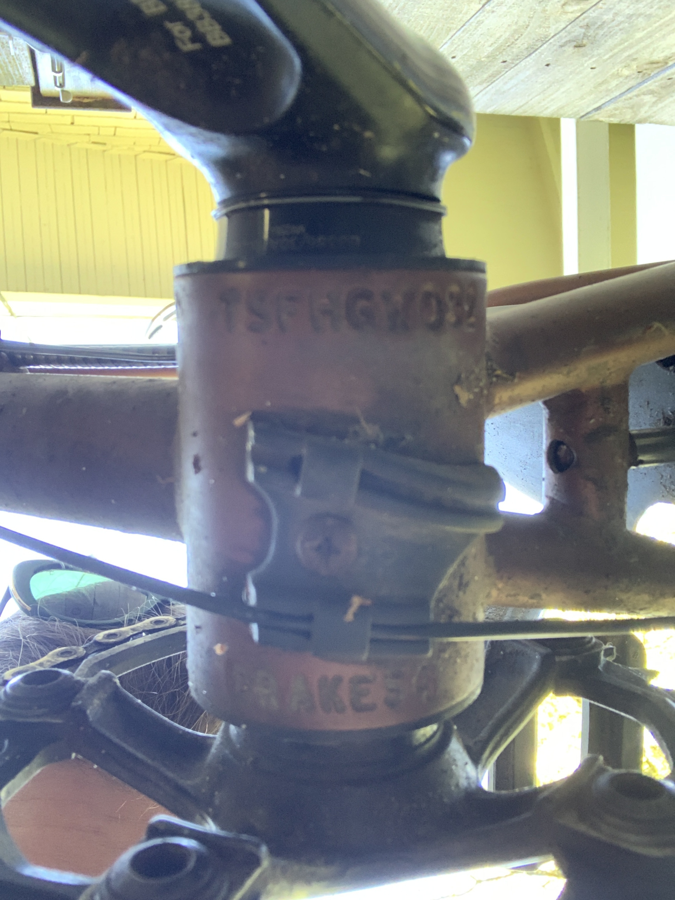 2019 New Albion Drake