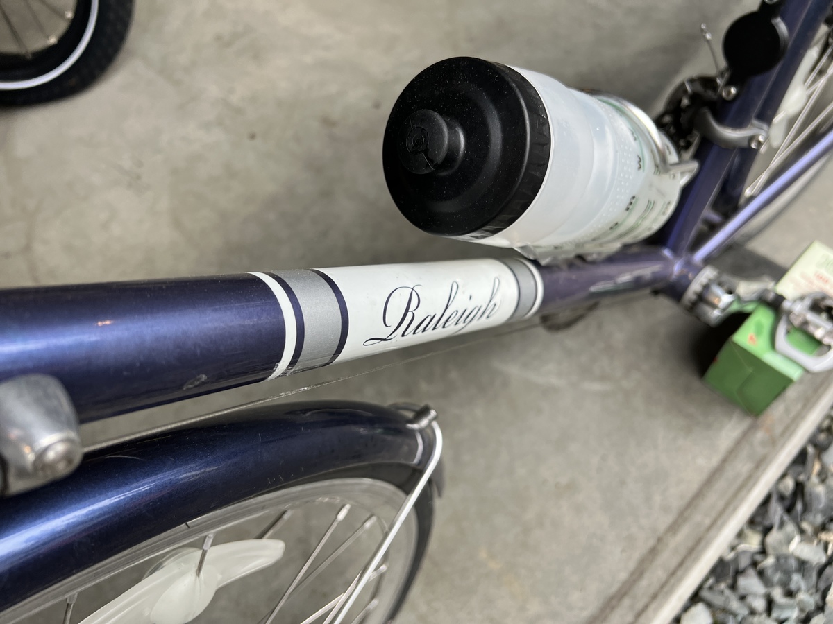 2013 Raleigh Clubman