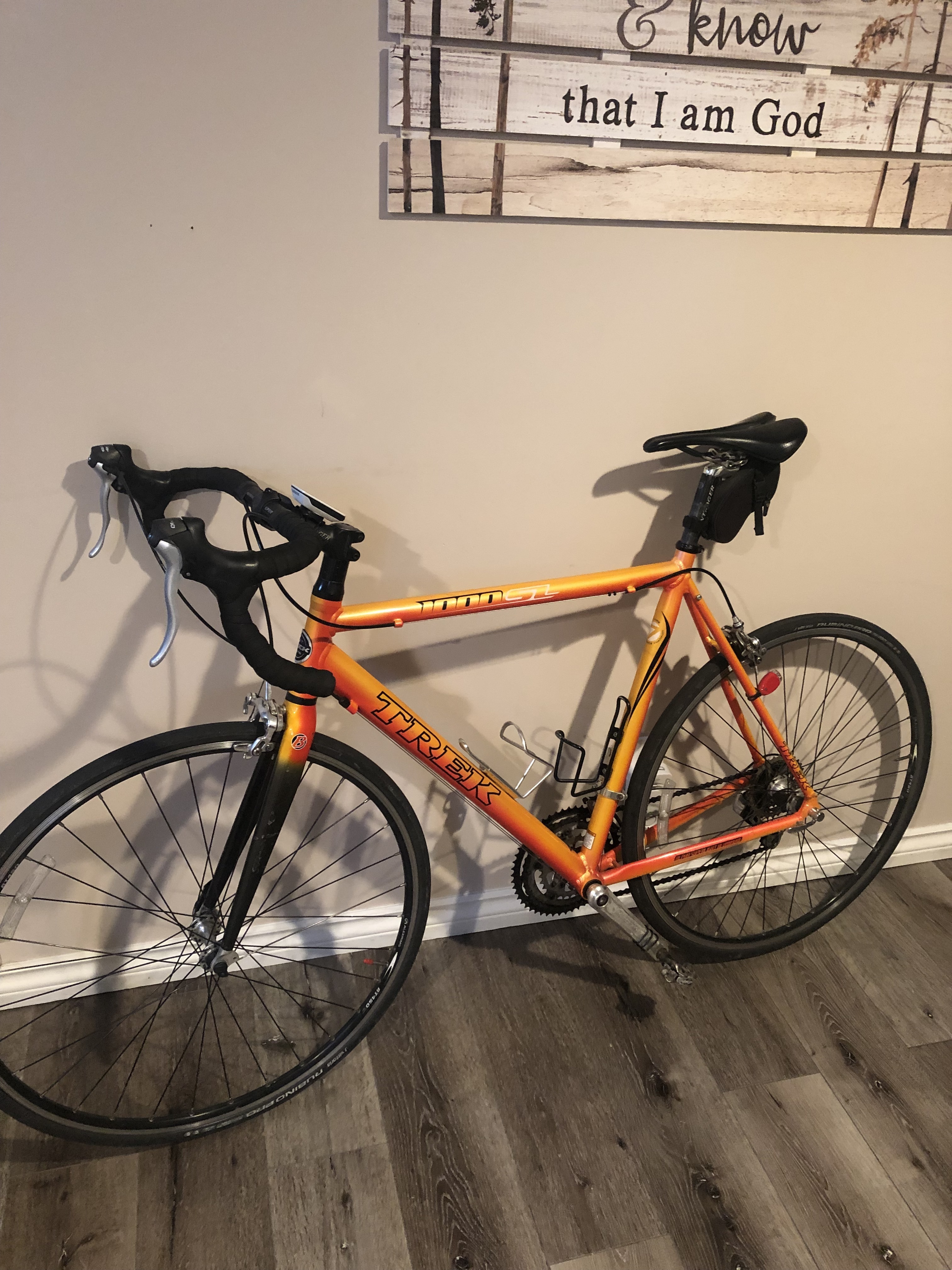 2007 Trek SL 1000