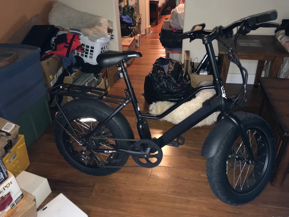 2020 Pedego Element