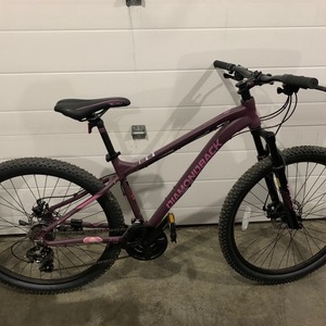 2022 Diamondback Ridgeback