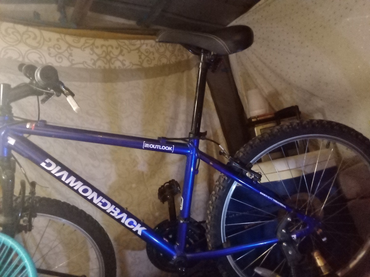 2011 Diamondback Outlook