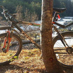 2001 Trek STP 200