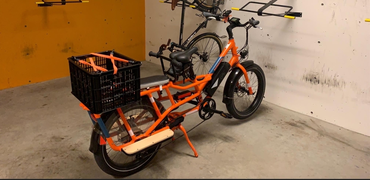 2022 Rad Power Bikes Rad Wagon 4