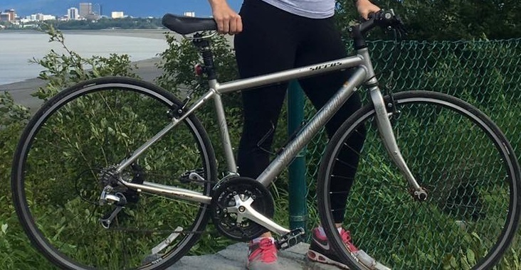 Stolen 2006 Specialized Sirrus A1