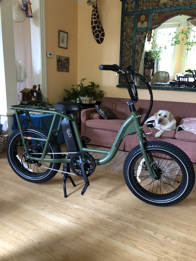 2022 Rad Power Bikes Radrunner 2