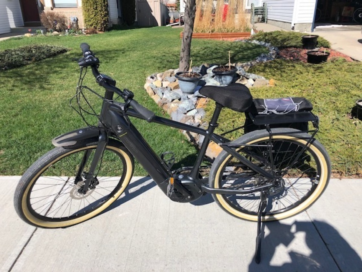 2020 Momentum GIANT Transend E+