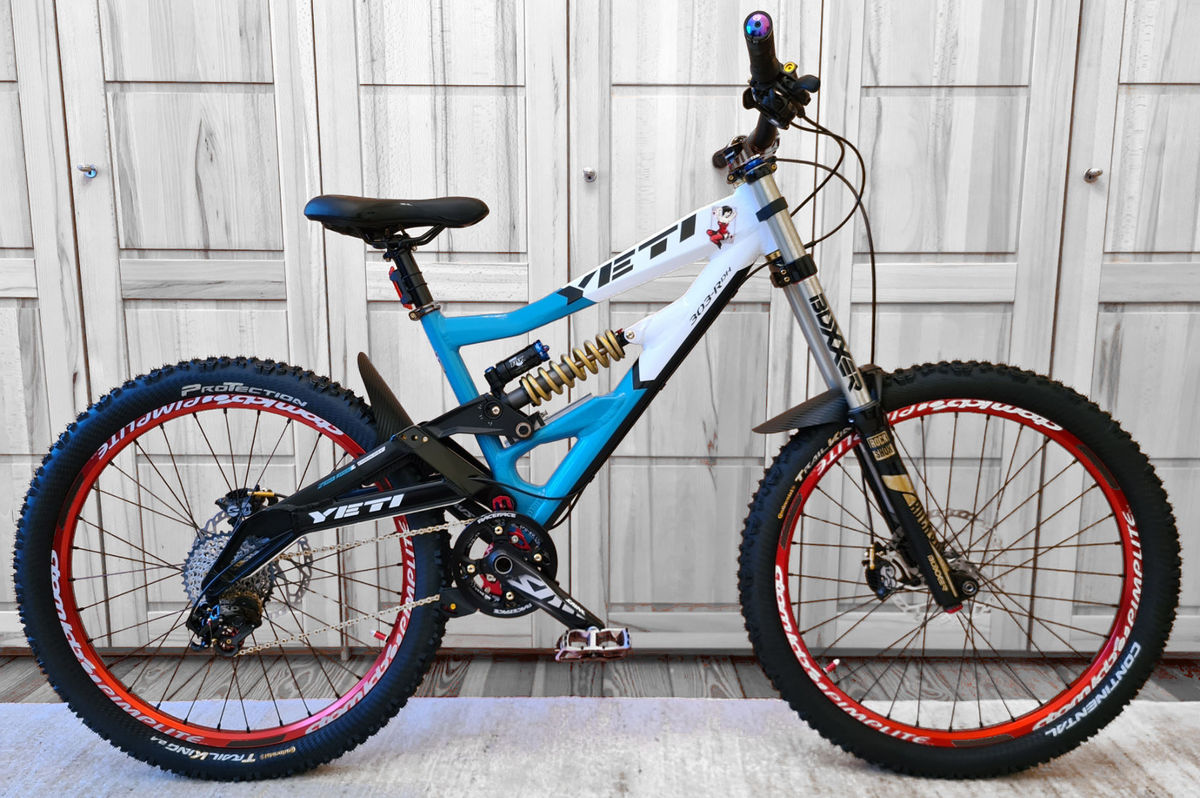 2010 Yeti 303 R-DH