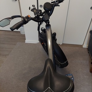 2021 Rad Power Bikes Radrover 6 plus