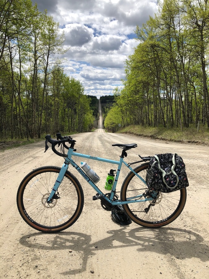 2020 Brodie Bike, Elan Vital Complete