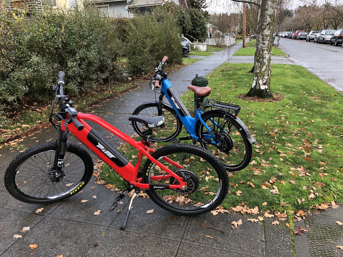 Stolen 2018 PIM (Power in Motion) Benny