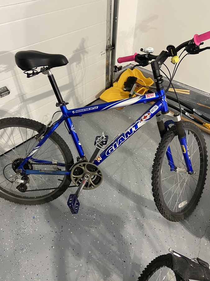 2002 Giant Boulder SE