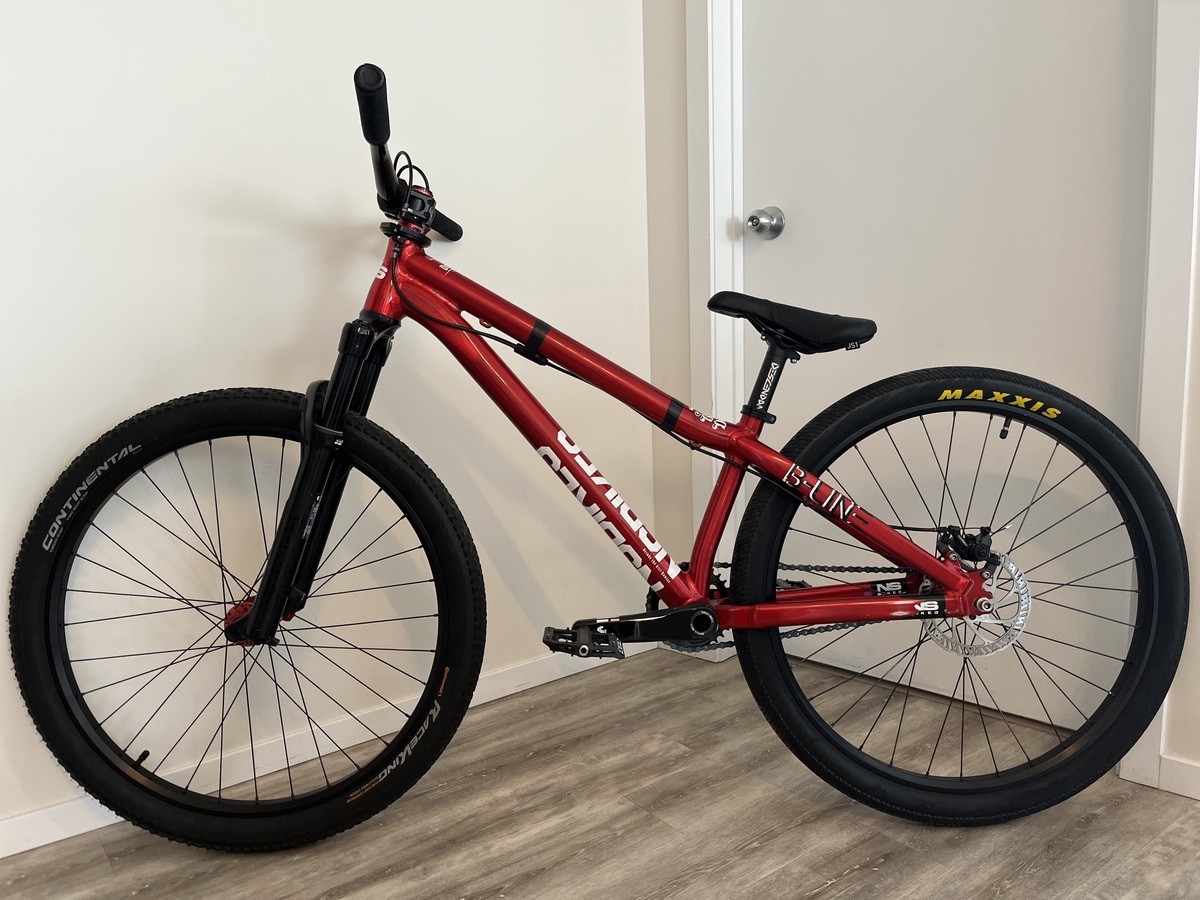 2020 NS Bikes Decade