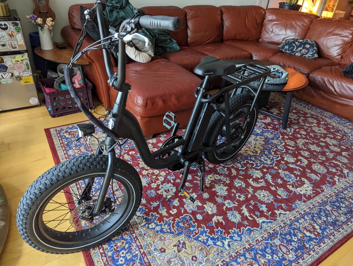 Rad Power Bikes Radrunner 1