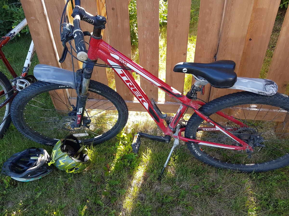 2006 Trek 3900