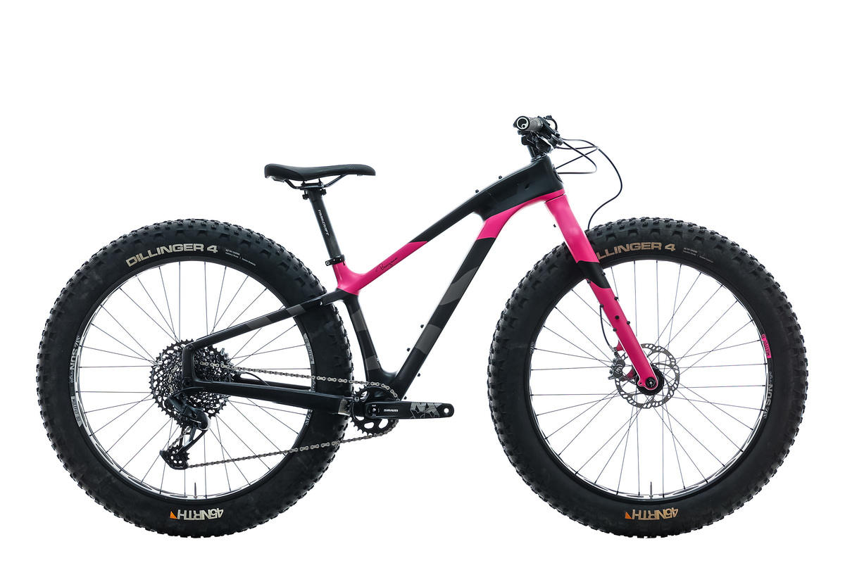2020 Salsa Beargrease Carbon