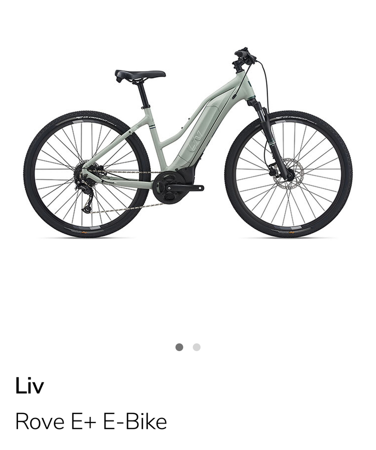 2022 Giant ROVE E+