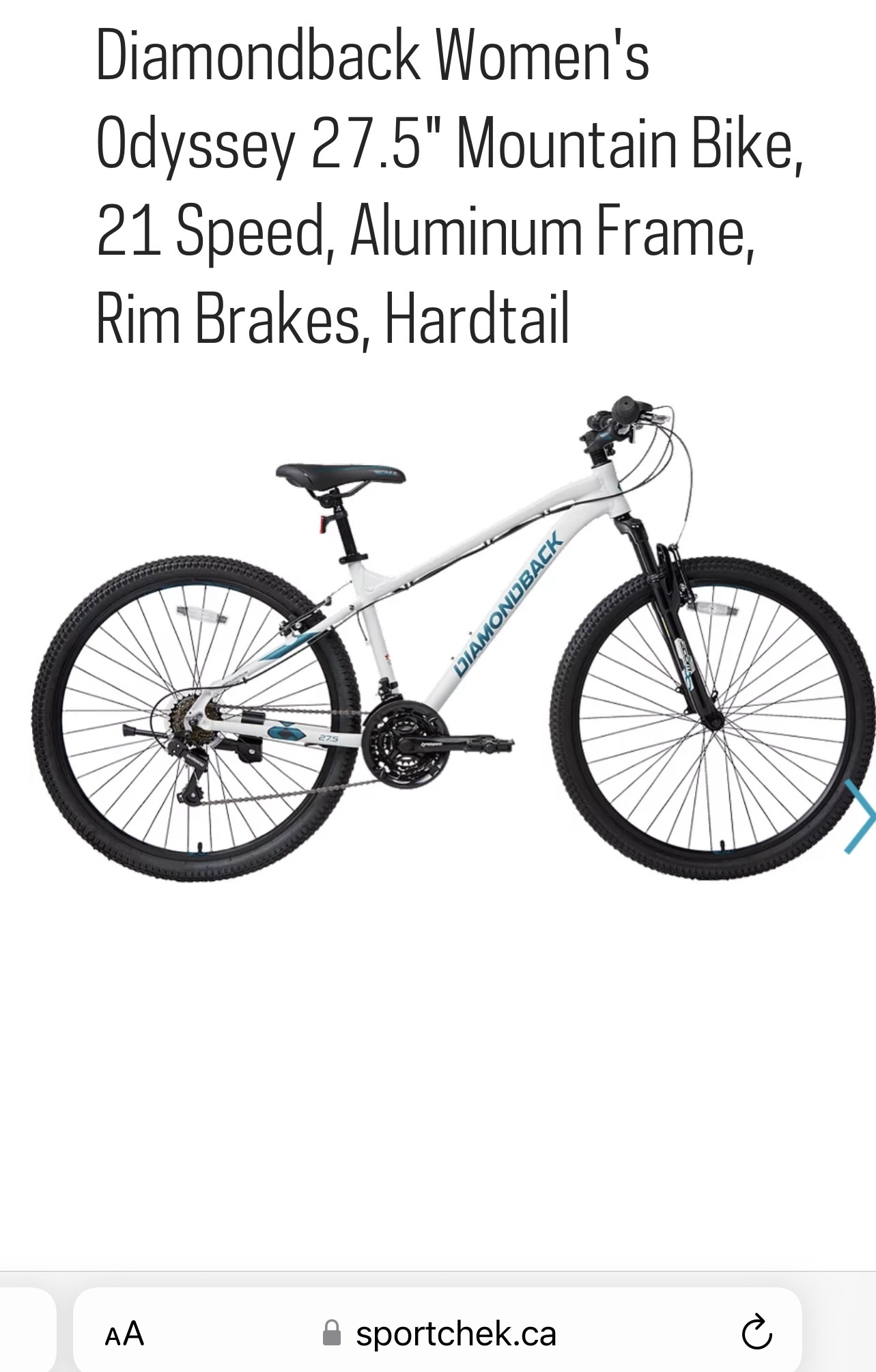 Stolen Diamondback Odyssey