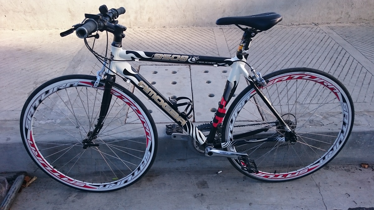 2015 Amoeba 9508 rece proven