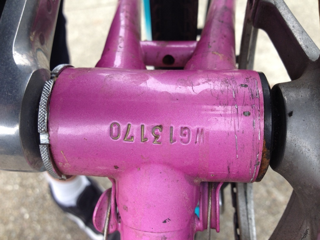 1987 Nishiki Modulus