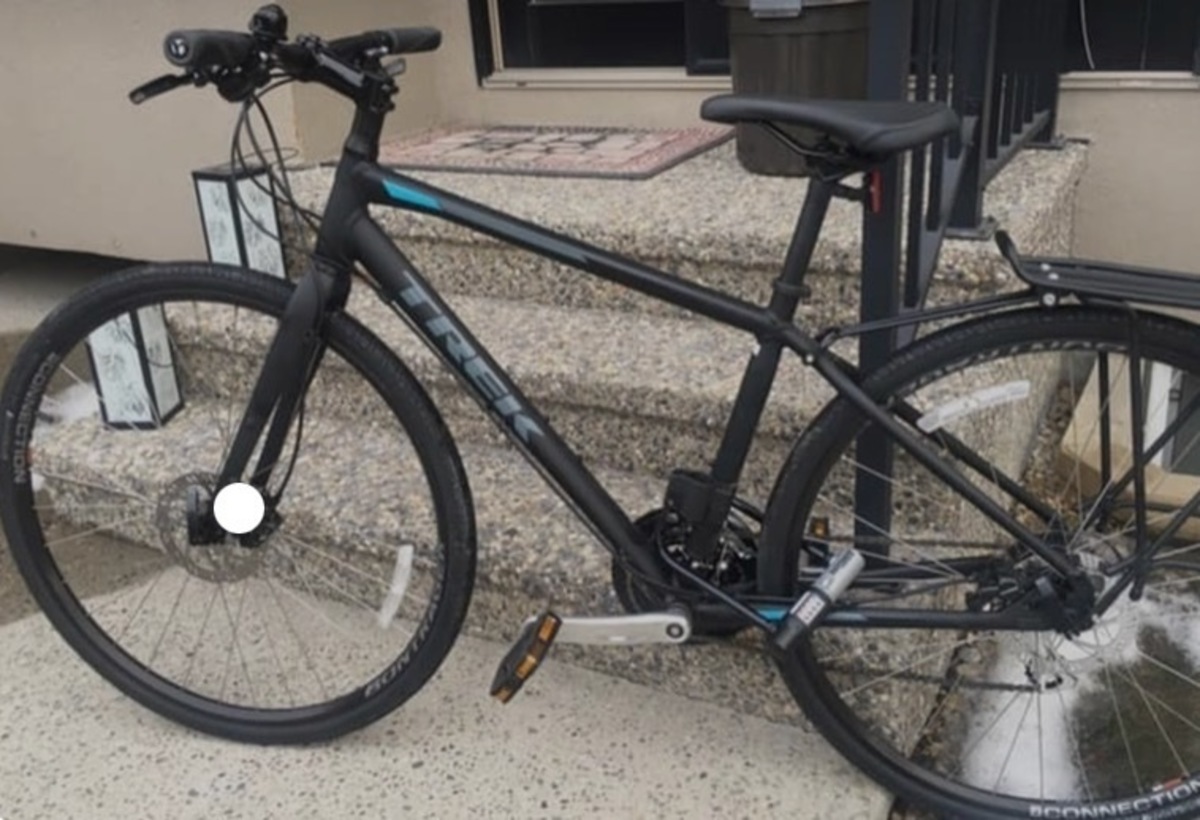 2019 Trek FX2