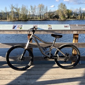 Stolen 2009 Specialized BigHit FSR II