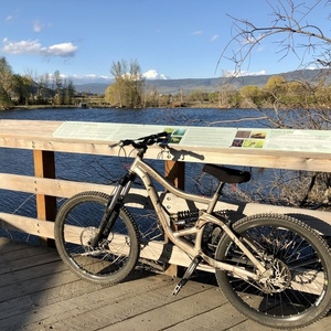 Stolen 2009 Specialized BigHit FSR II