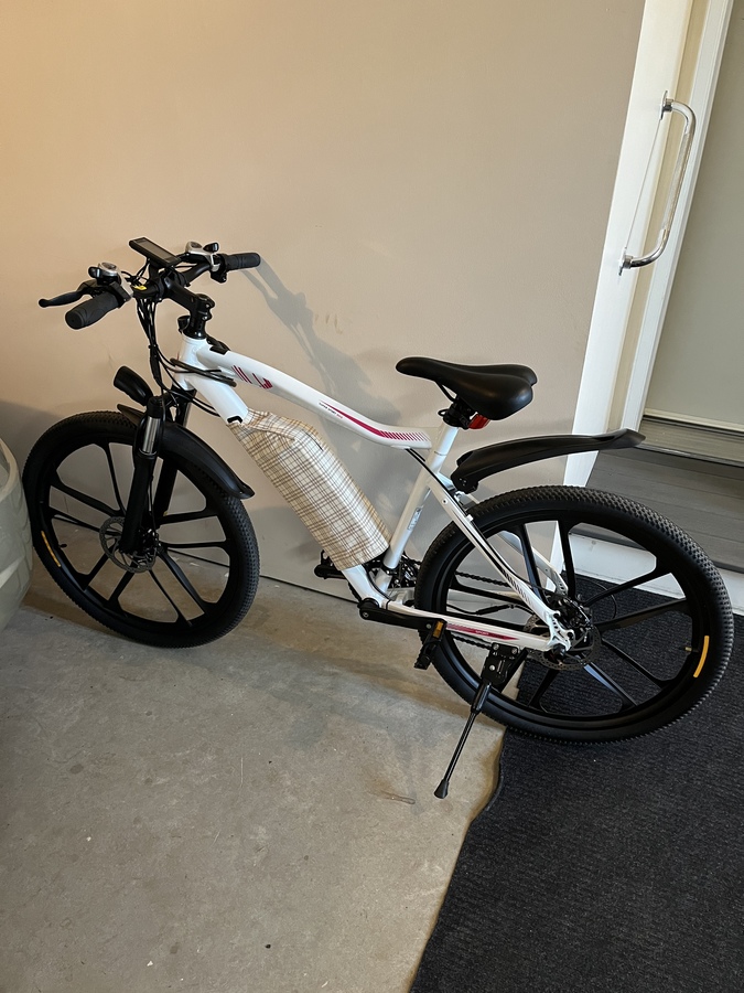 2022 GOTRAX Regular E bike