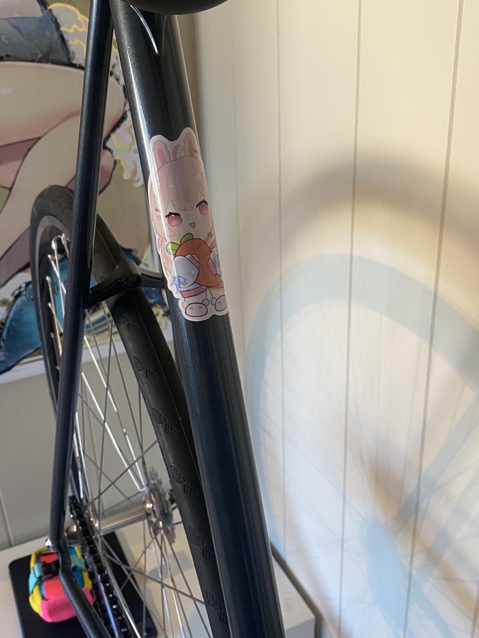 2022 Wabi Cycles Special