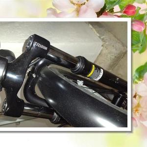 2021 populo 20" Curve