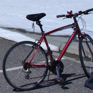 Diamondback Insight