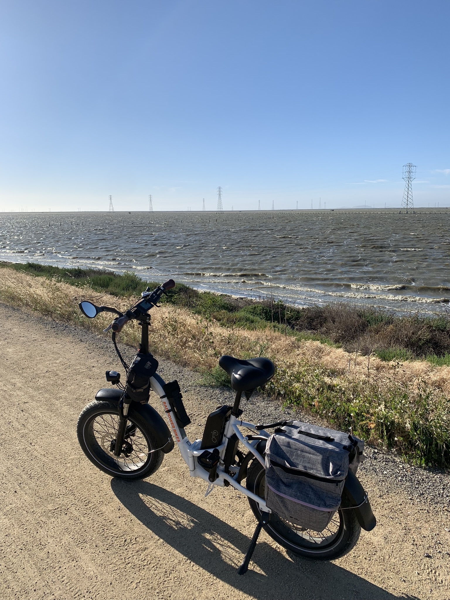 Stolen 2020 Rad Power Bikes RadMini Step-Thru 2