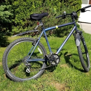 2007 Trek 820