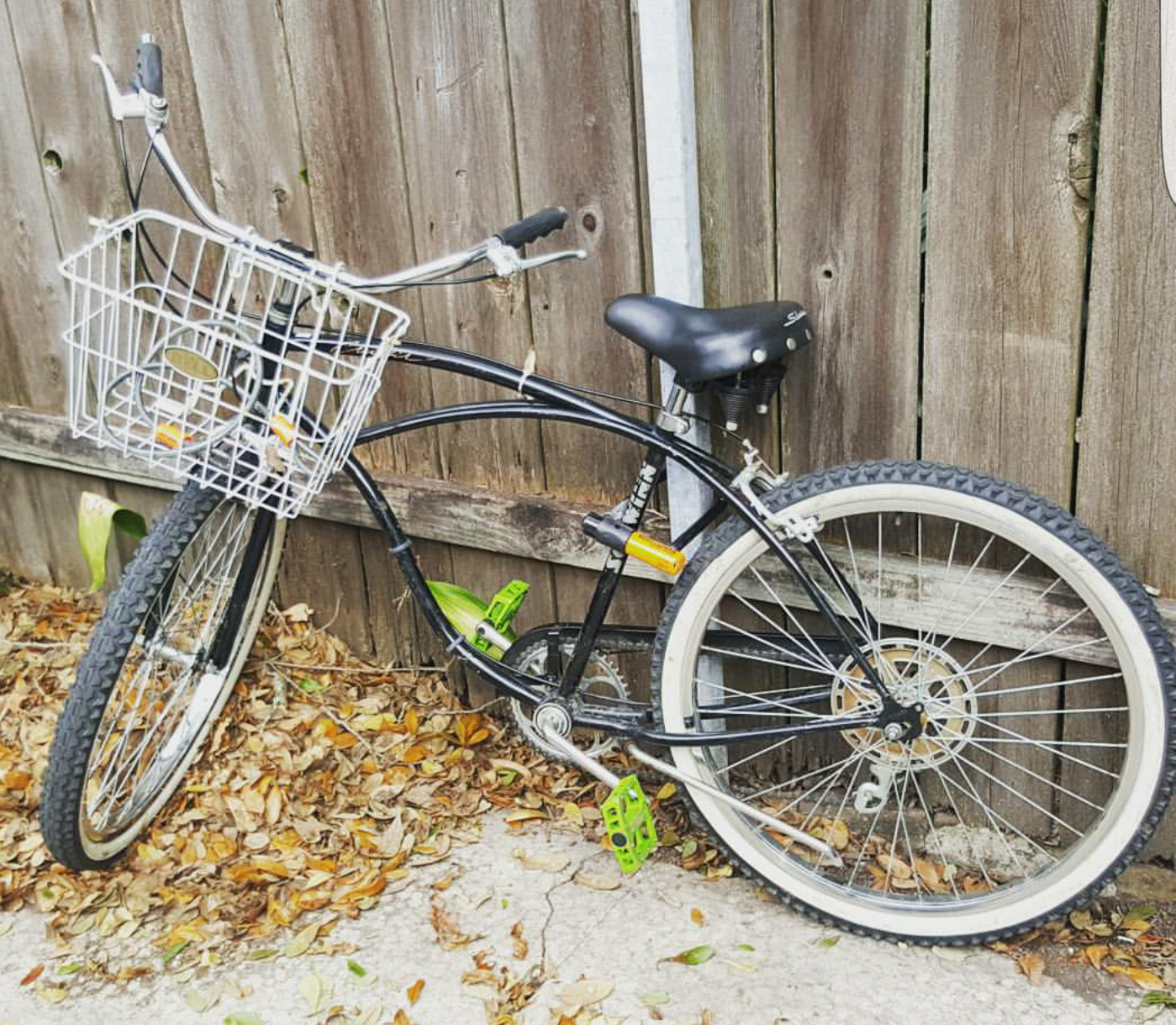 Schwinn cruiser