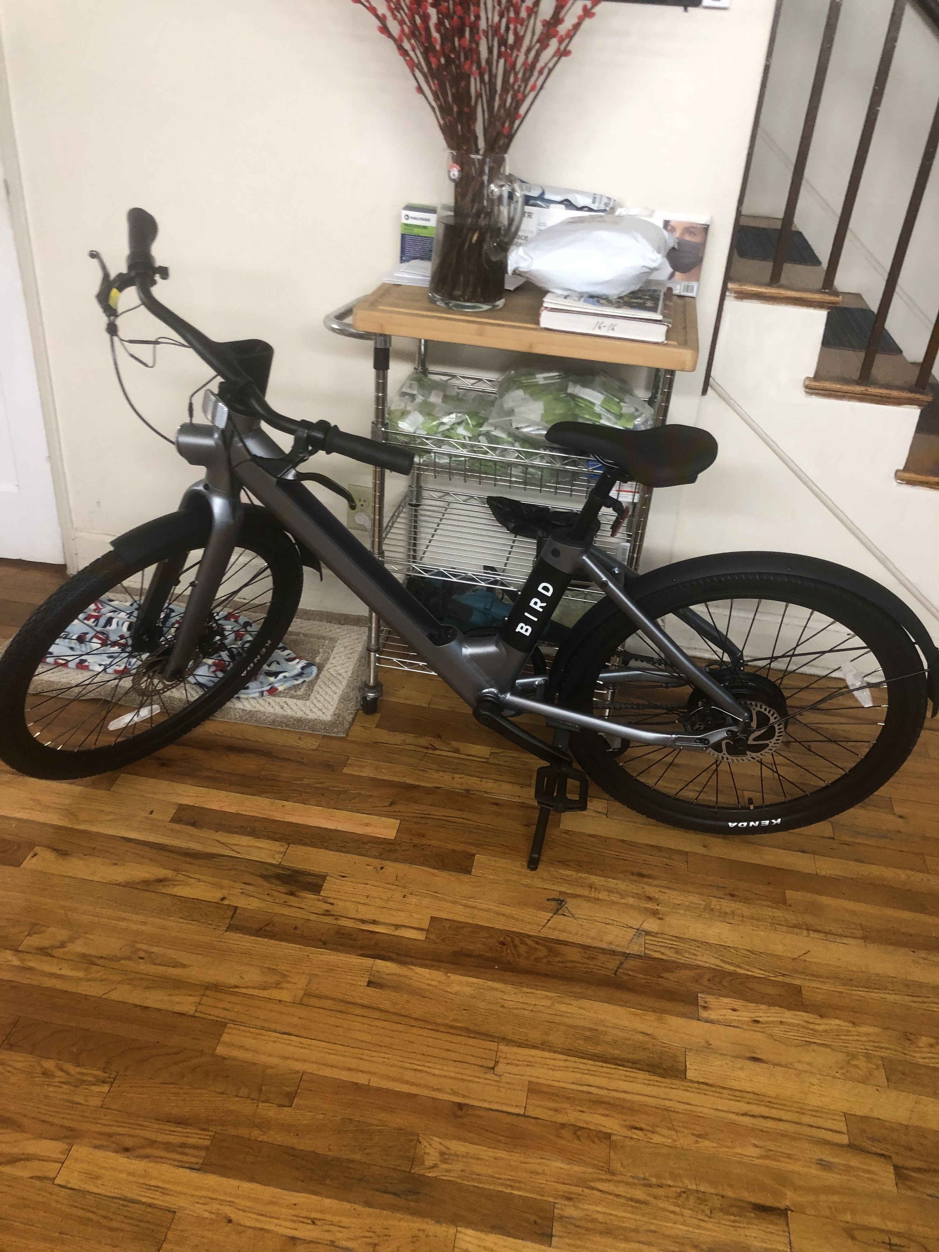 2021 Bird Bike V-Frame