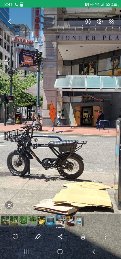 2019 Ariel Rider D Class