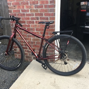 2020 Salsa Fargo Apex 1