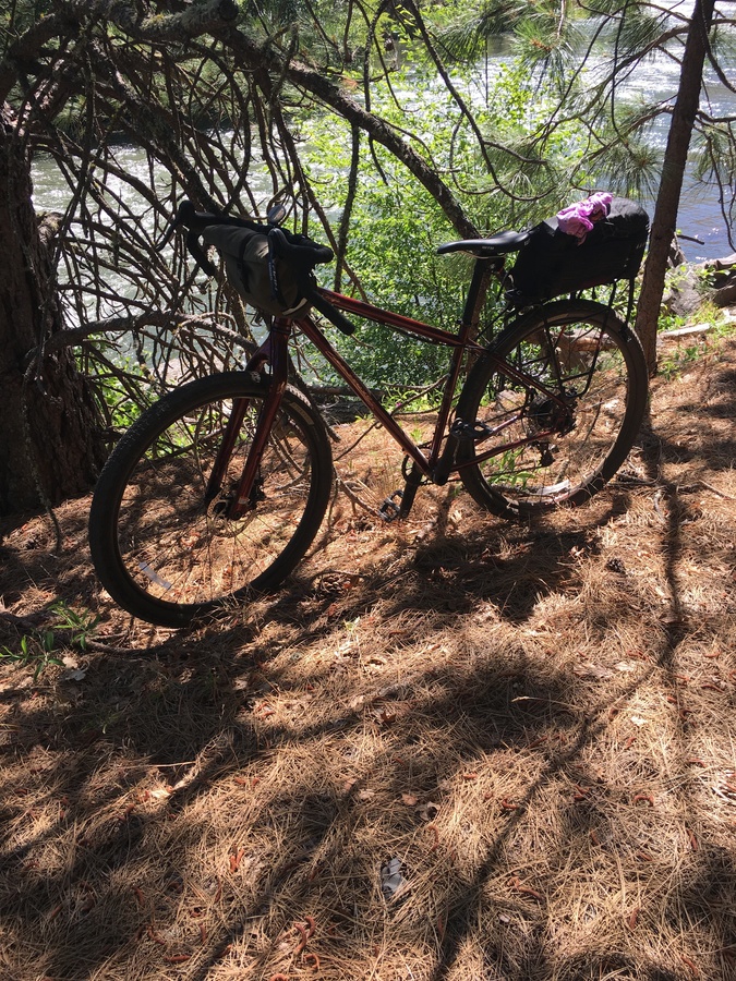 2020 Salsa Fargo Apex 1