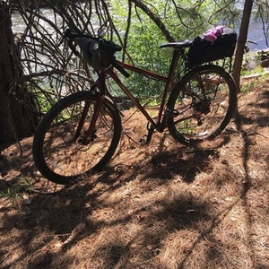 2020 Salsa Fargo Apex 1